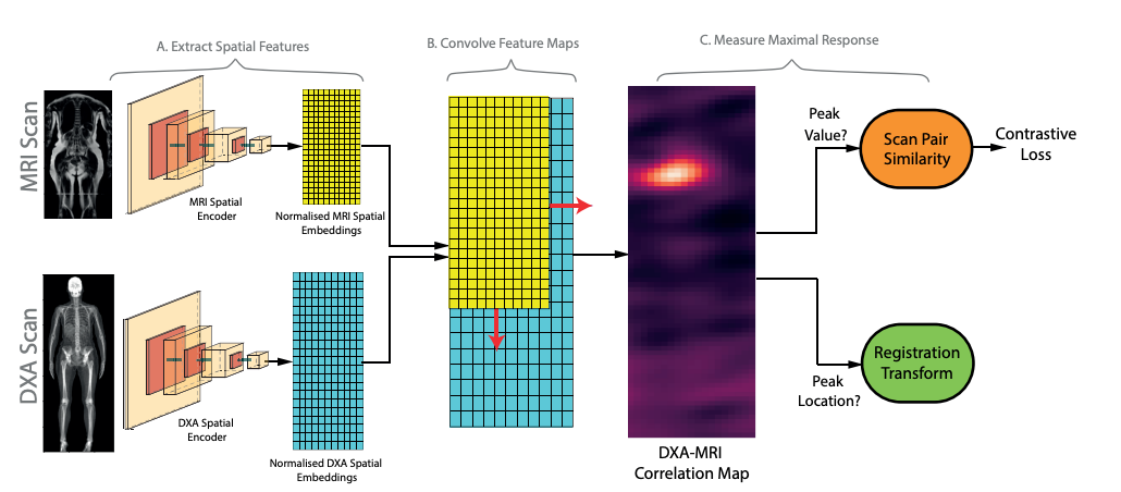 Paperview Self Supervised Multi Modal Alignment For Whole Body Medical Imaging Shayan Fazeli